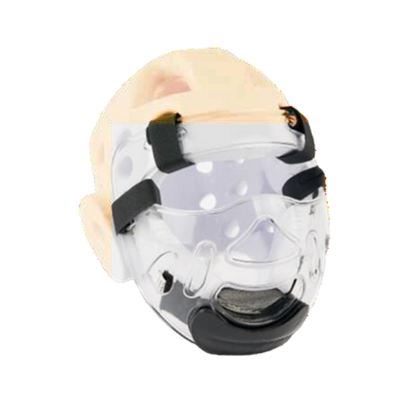 FACE SHIELD_CLEAR – The Team America